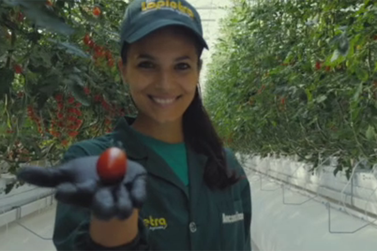 New SPAR video highlights fresh supply chain - SPAR International
